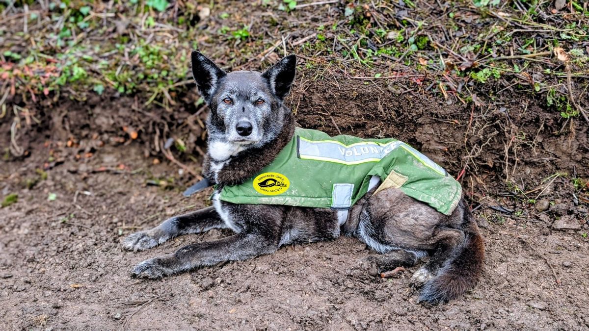 January 2026 work party report - Shropshire Union Canal Society